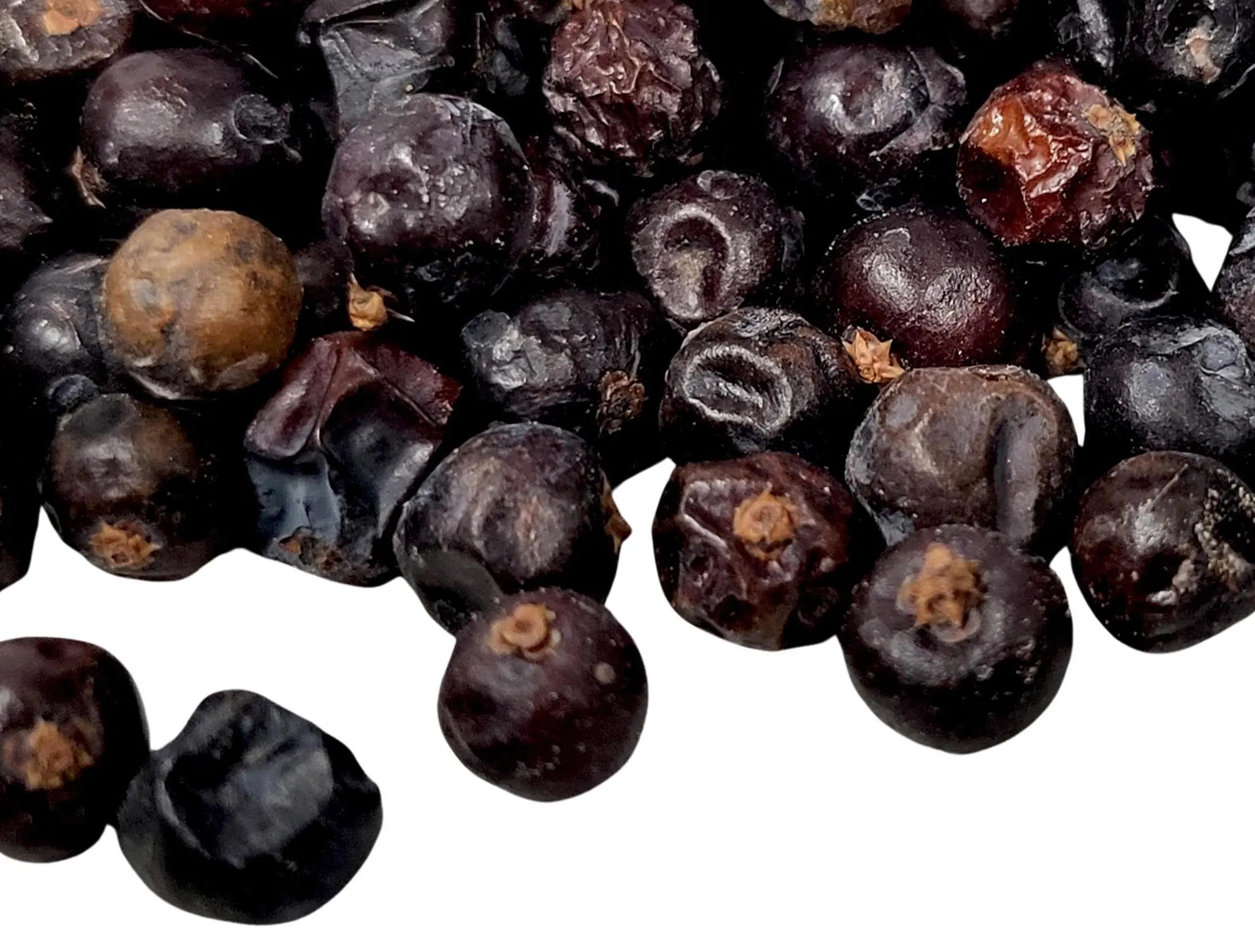 Juniper Berry - A mighty spice with a flavor revelation – My SensibiliTeas
